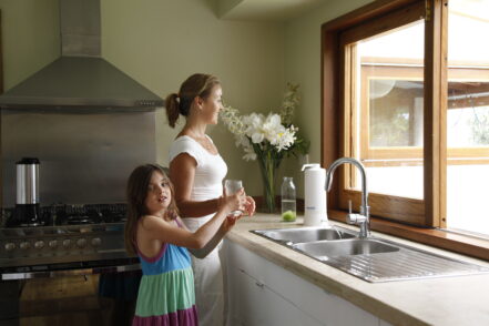 The UltraStream Water Filter